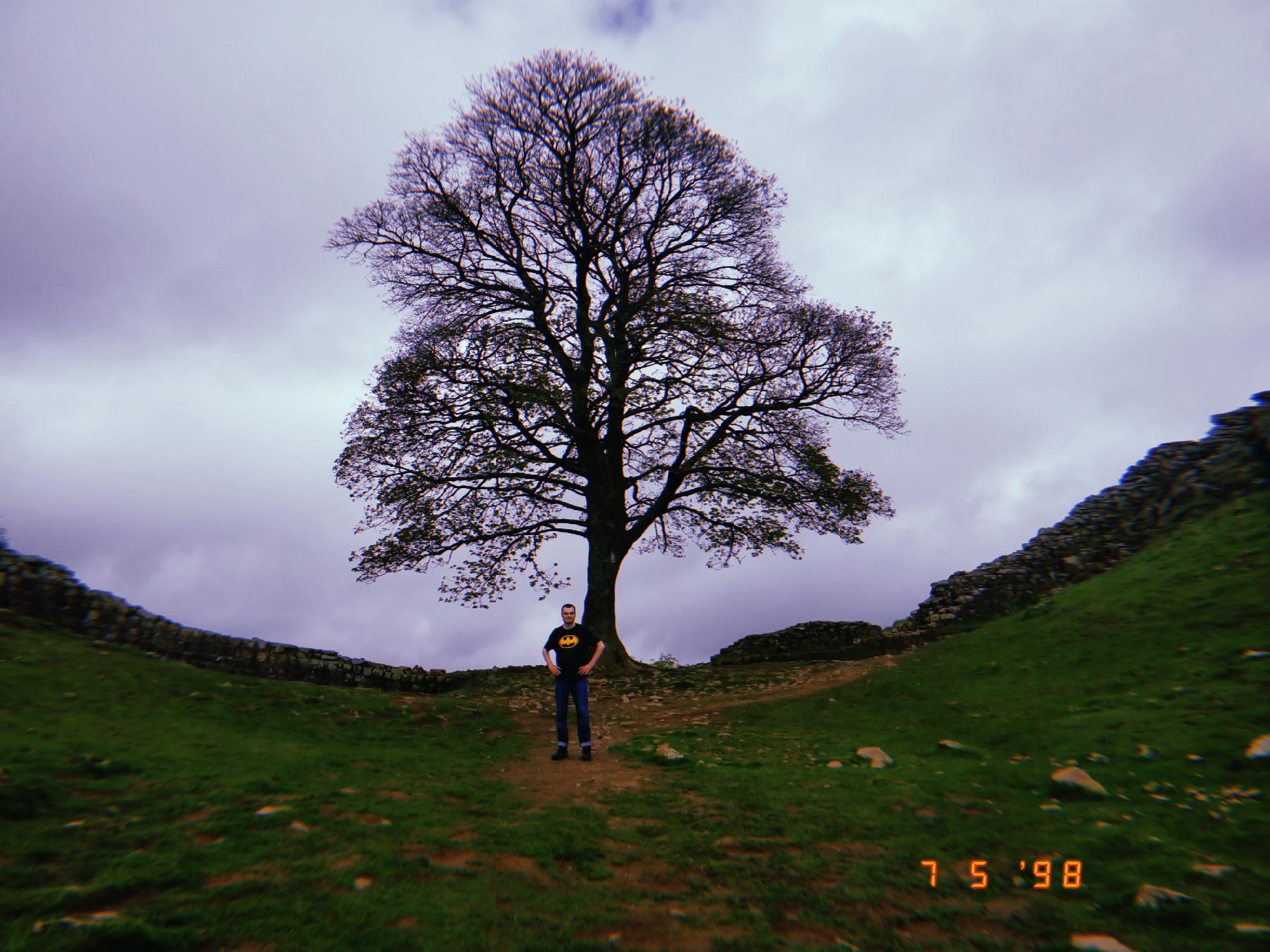 Welcome to the site! - Henry Bateman